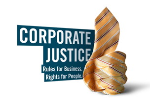 Conservative backlash blocks increased corporate accountability ...