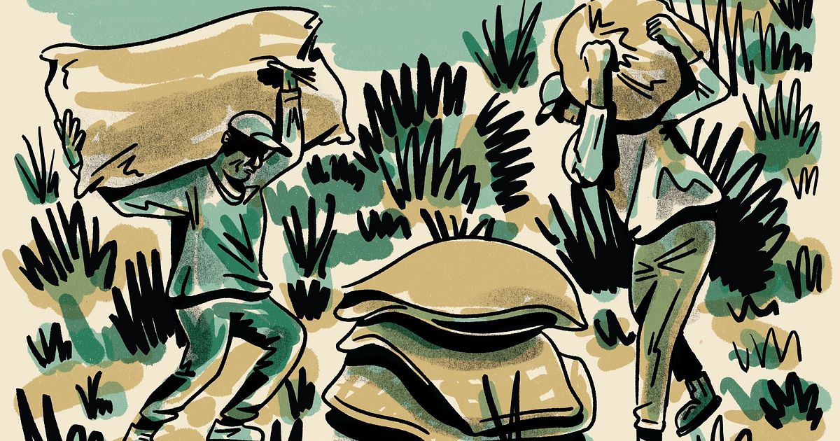 Modern slavery at Nestlé’s coffee supplier | Public Eye