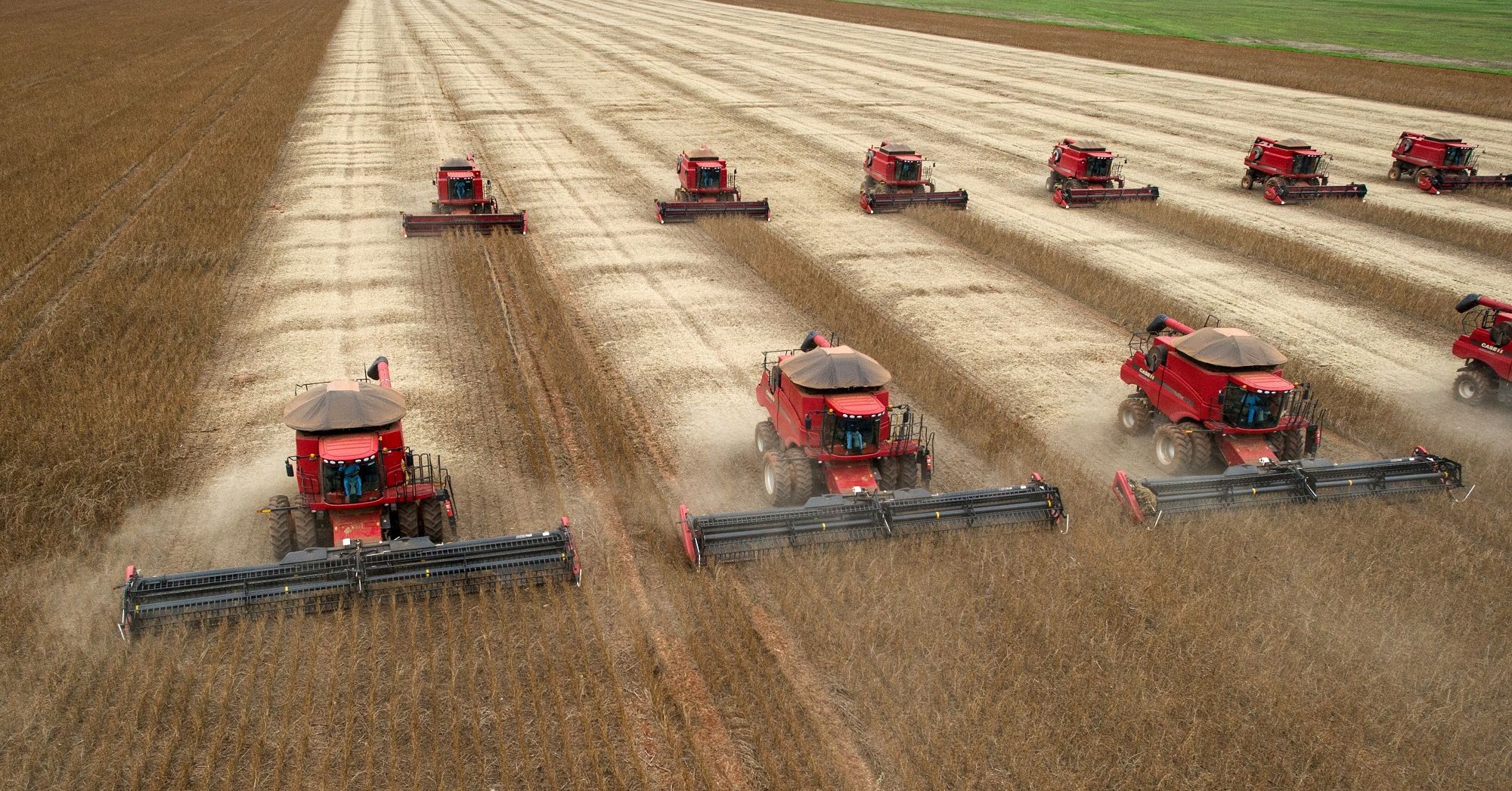 Trends and developments in the global agro-food sector